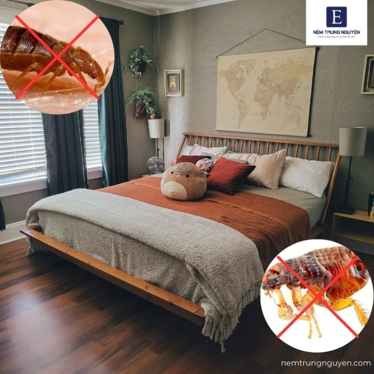 12 Cách Diệt Bọ Chét Trong Phòng Ngủ Hiệu Quả Và Tận Gốc